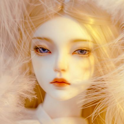 Aria｜DOLK（ドルク）