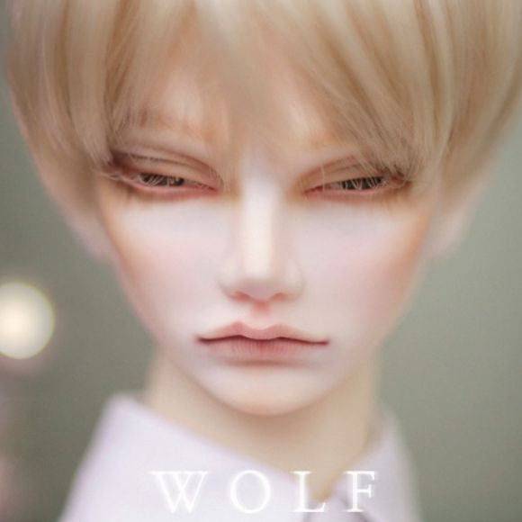 【期間限定】WOLF Head｜DOLK（ドルク）