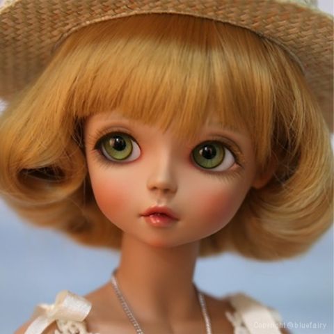 【期間限定】TF Emma｜DOLK（ドルク）