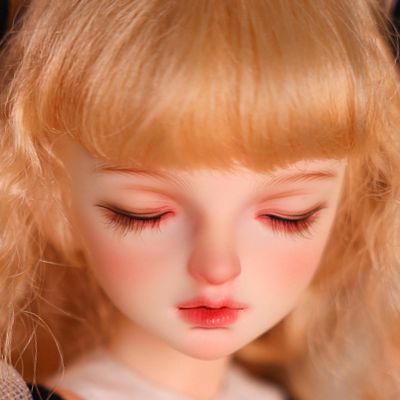 【期間限定】Mini Clear 2022 Fullset｜DOLK（ドルク）