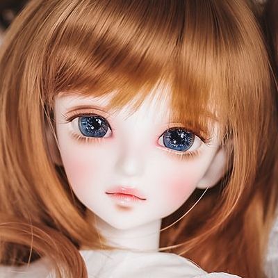 【即納】Daina Full Set｜DOLK（ドルク）