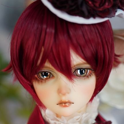 【数量＆期間限定】OPIA -Full-Set ｜DOLK（ドルク）