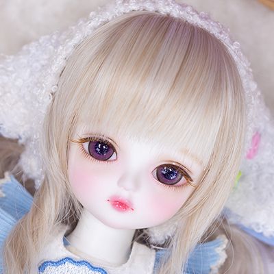 Amber A Full Set｜DOLK（ドルク）