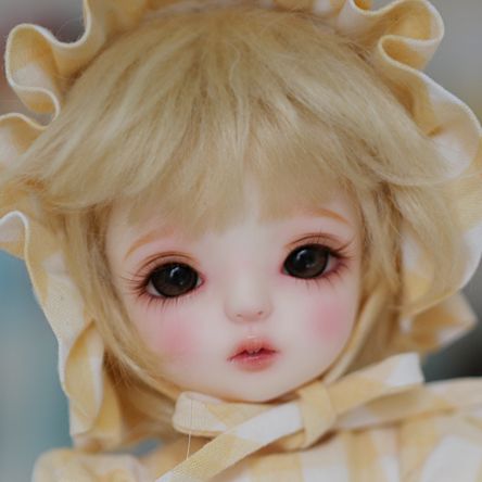 【期間限定10％OFF】[Petit] Vanilla｜DOLK（ドルク）