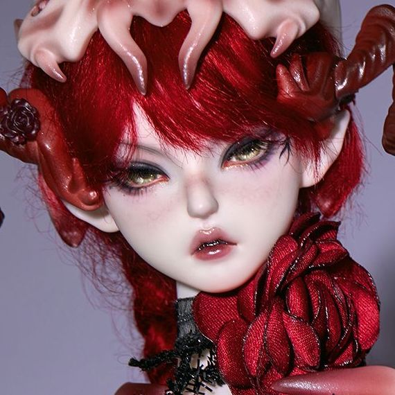 【期間限定10％OFF】Sasha Fullset｜DOLK（ドルク）