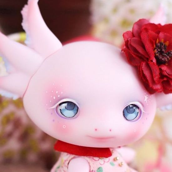 【期間限定】Sesame LUPY ｜DOLK（ドルク）