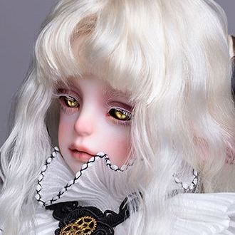 【期間限定15％OFF】Amal Fullset｜DOLK（ドルク）