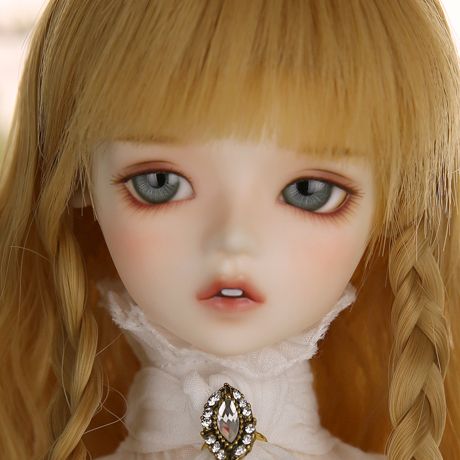【期間限定】TF Lia Head｜DOLK（ドルク）