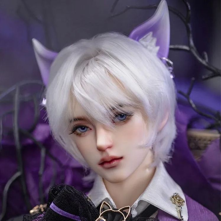 Cheshire Cat Fullset｜DOLK（ドルク）