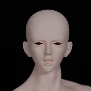 【期間限定】相柳 Head｜DOLK（ドルク）