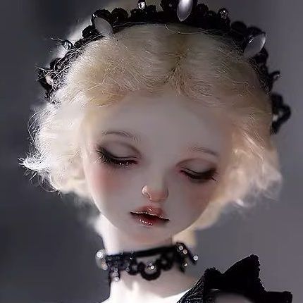 【期間限定】Clear Fullset｜DOLK（ドルク）