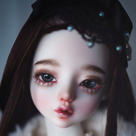 【数量限定】Hani Orange ver. Full Set｜DOLK（ドルク）