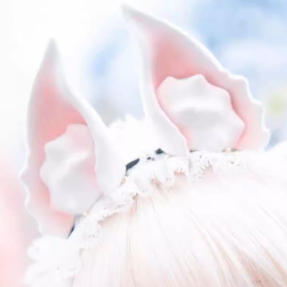 【数量限定】Fox Ear Parts｜DOLK（ドルク）