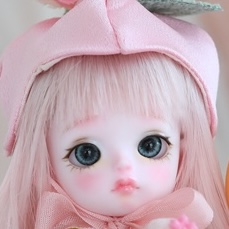 【期間限定】Le Petit Prince 2024 ver. Hari｜DOLK（ドルク）