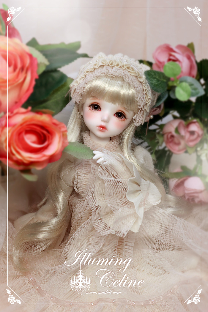 【期間限定】Illuming Celine (Tall type) Fullset｜DOLK（ドルク）