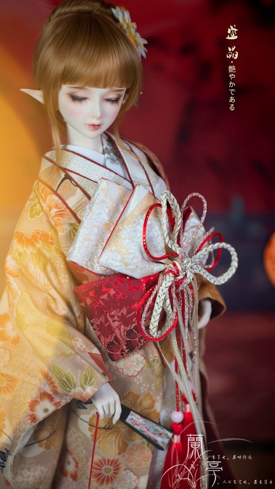 花魁-盛晶- 40cm(MSD)｜DOLK（ドルク）