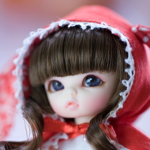 puki Darjeeling Basic｜DOLK（ドルク）