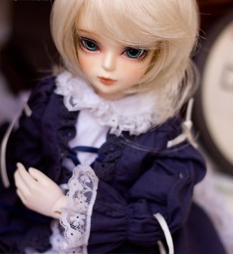 【最終受注15％割引】Ann｜DOLK（ドルク）