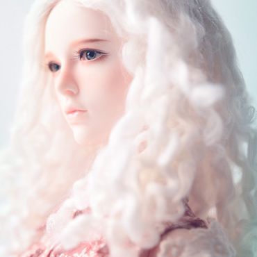 【期間限定再販】Anthemis_Daisy｜DOLK（ドルク）